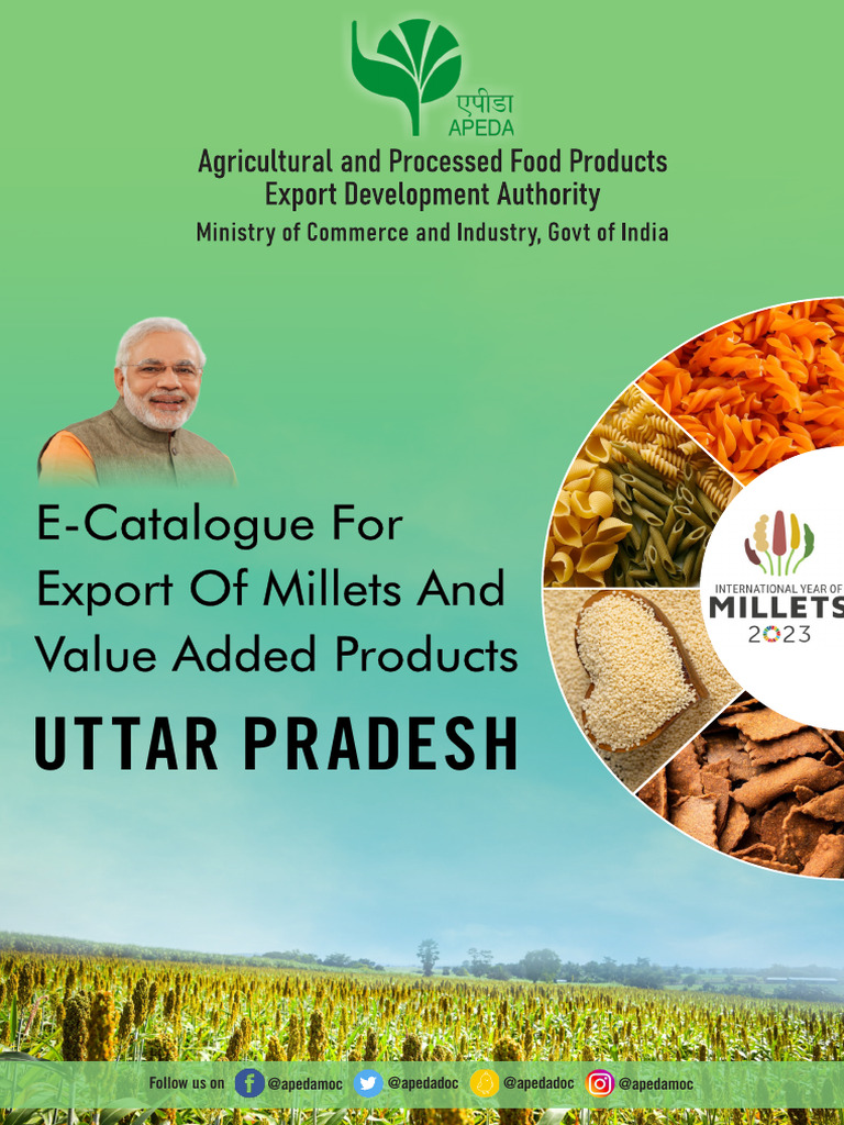 Uttar Pradesh Millet Value Added Products Catalogue | PDF | Cereals ...