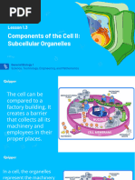 Prokaryotes and Eukaryote Venn Diagram | PDF | Cell (Biology) | Eukaryotes