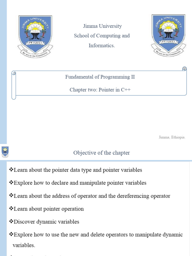 Chapter 2 Pointers in C++ | PDF | Pointer (Computer Programming) | Data Type