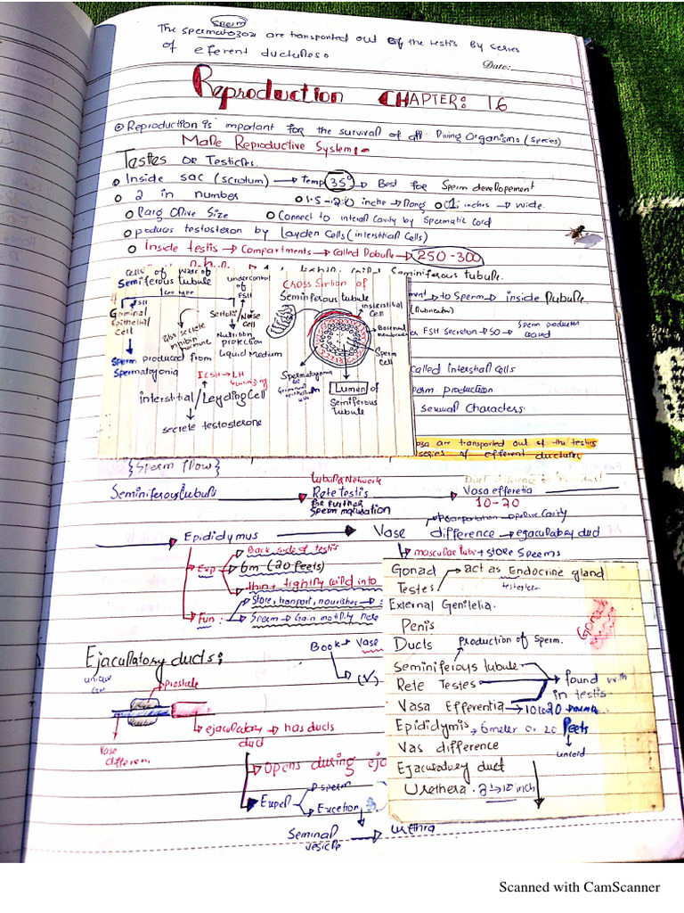 MDcat Reproduction Notes and MCQs | PDF