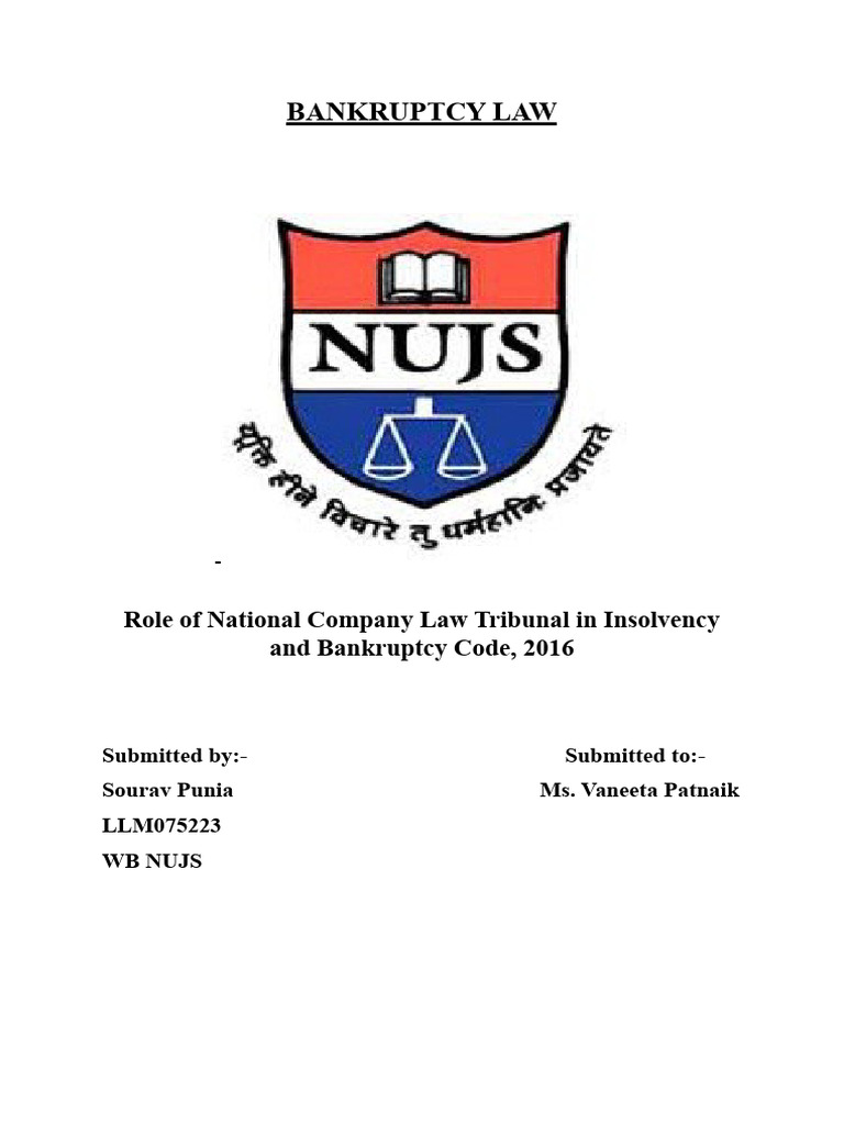 Project | PDF | Bankruptcy | Insolvency