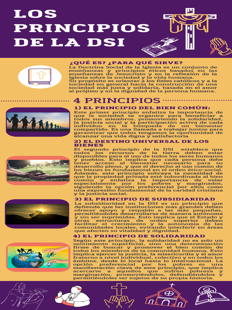 Infografía Principios DSI | PDF