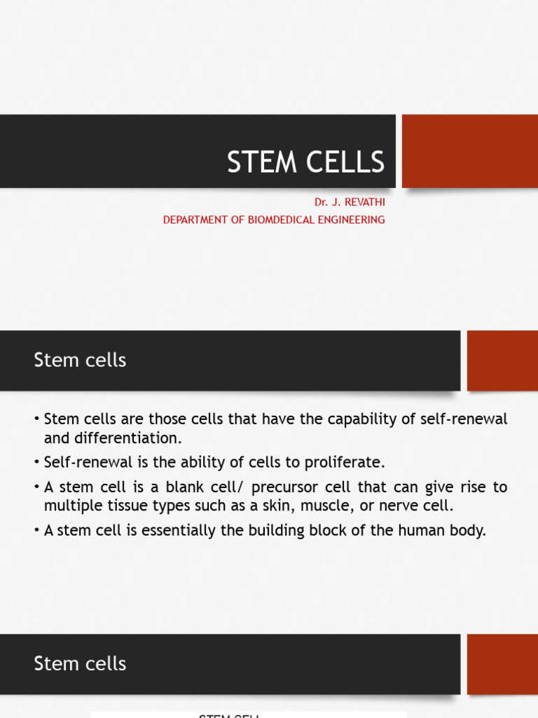 3.1 Stem Cells and Its Types | PDF | Cell Potency | Stem Cell