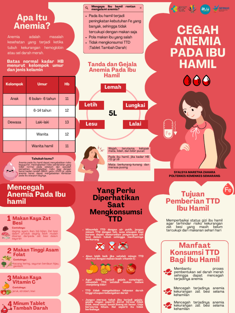 Anemia Pada Ibu Hamil | PDF