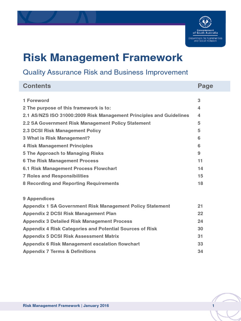 DCSI Risk Management Framework | PDF | Risk Management | Risk