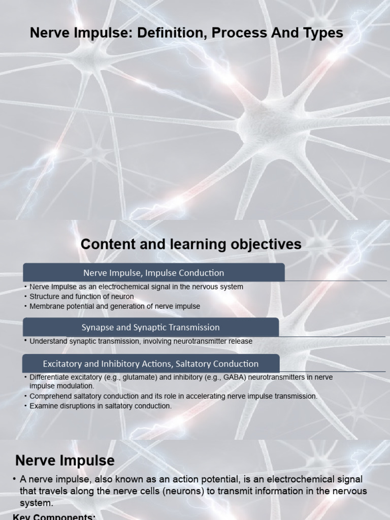 Presentation-Neuron | PDF | Chemical Synapse | Neuron