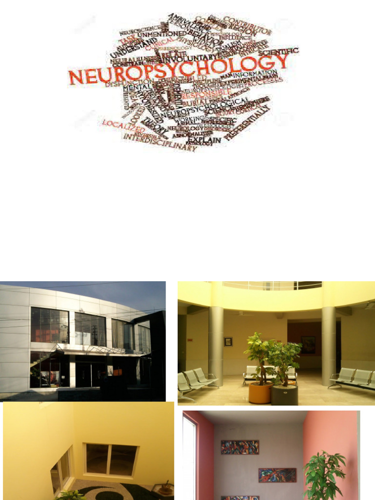 Brain basic structure and function | PDF | Cerebrum | Cerebral Hemisphere