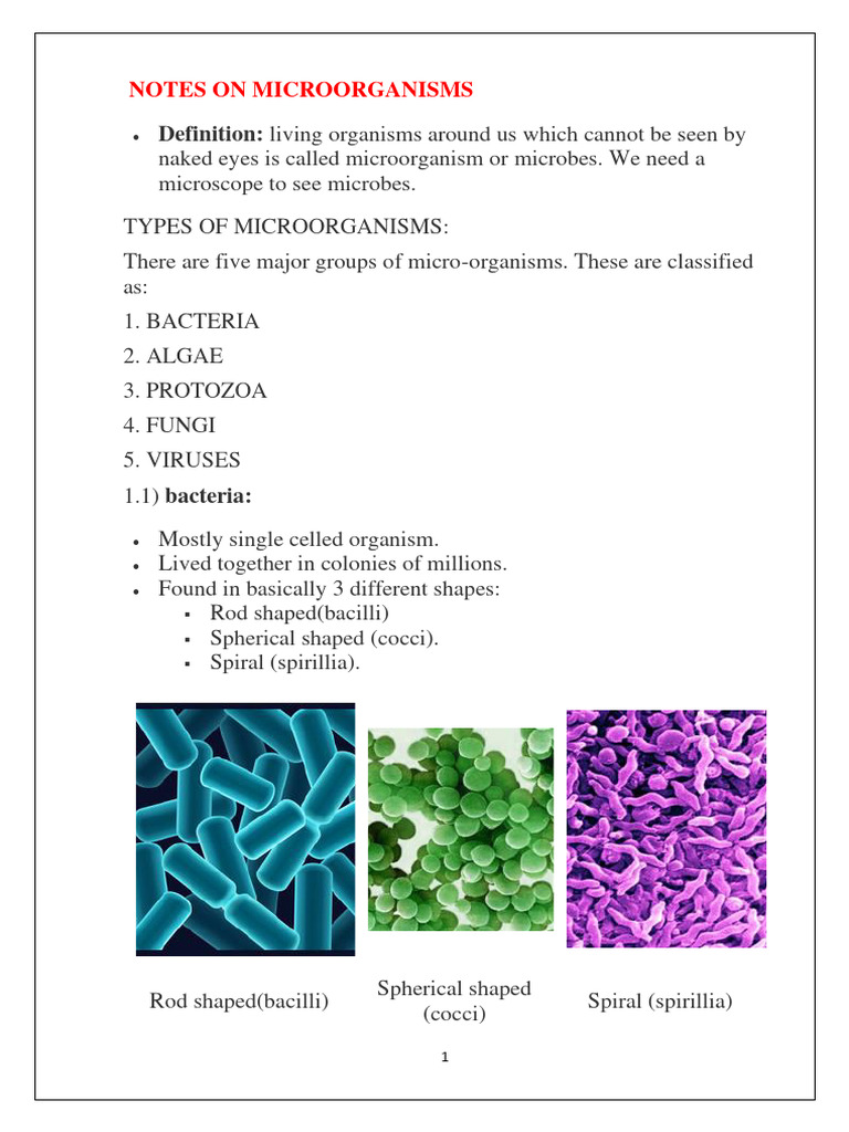 NOTES ON MICROORGANISMS | PDF | Microorganism | Food Preservation