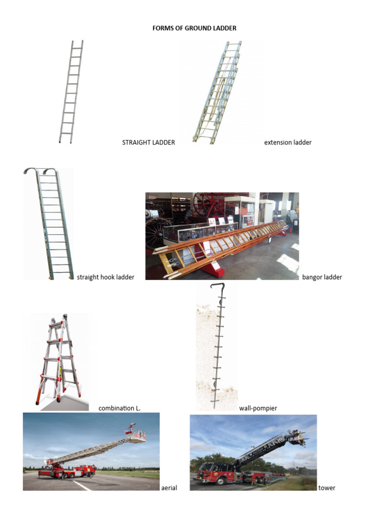 FORMS OF GROUND LADDER Arson | PDF