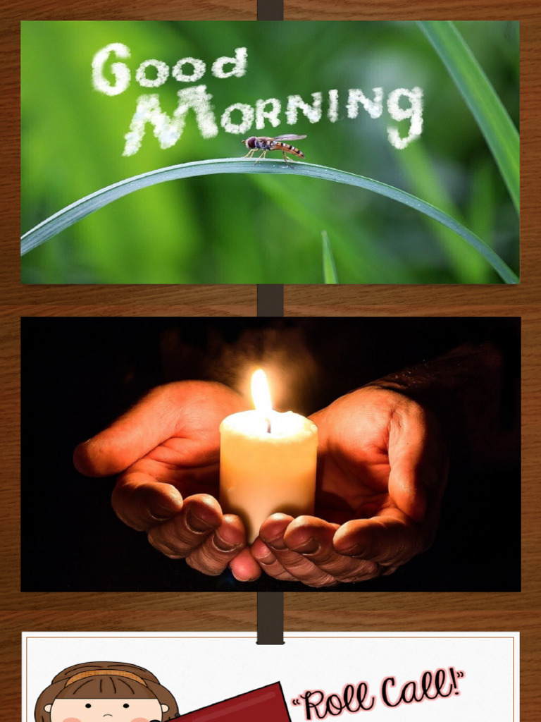 Triangle Congruence | PDF | Language Arts & Discipline | Teaching ...