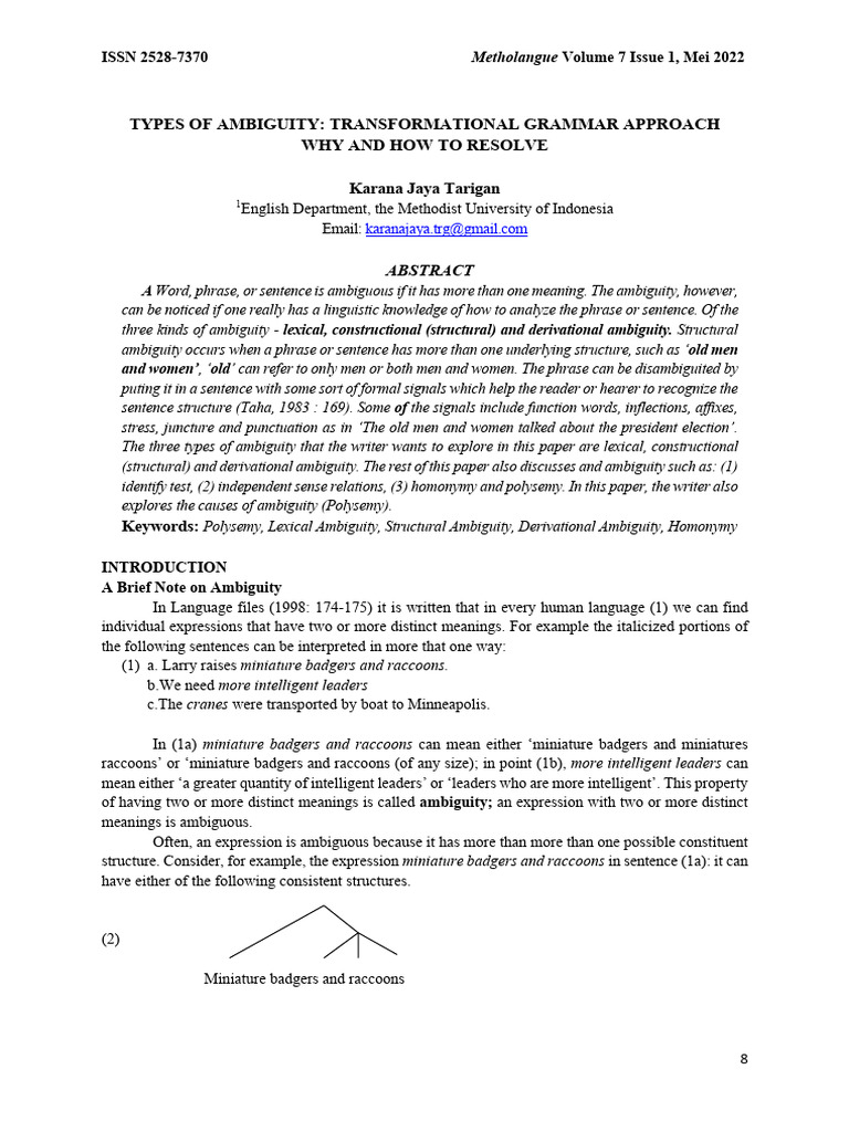Artikel 2 8 19 Types of Ambiguity Transformational Grammar Approach Why ...