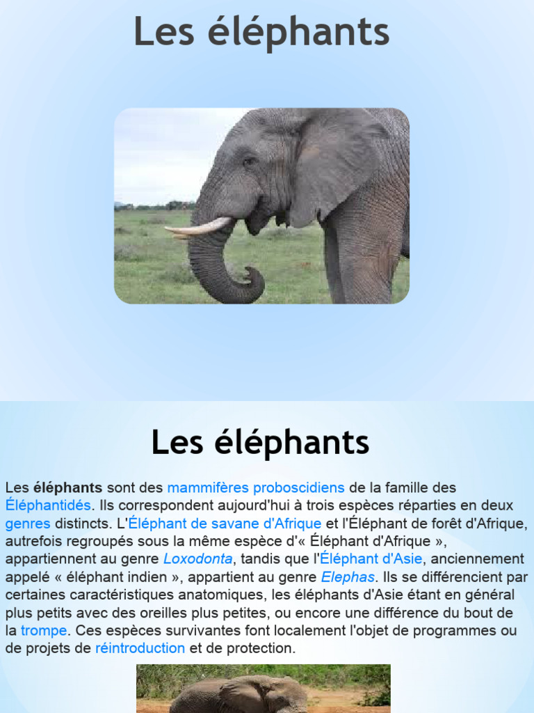 Les Éléphants | PDF | Éléphant | Zoologie
