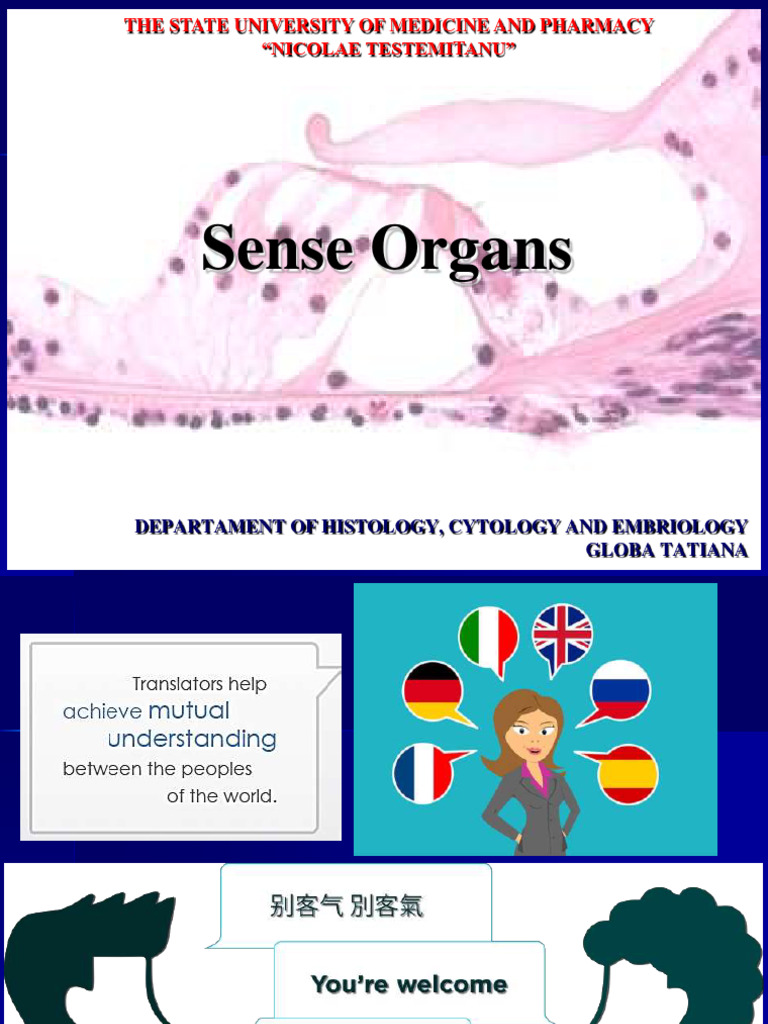 Sense Organs | PDF | Ear | Retina