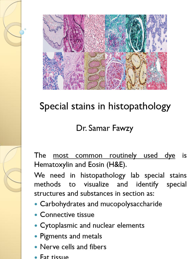 4-Special Stains | Download Free PDF | Staining | Microscopy