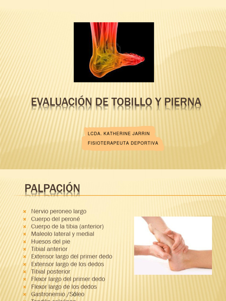 8.evaluacion de Tobillo y Pierna | PDF | Tobillo | Tejido suave