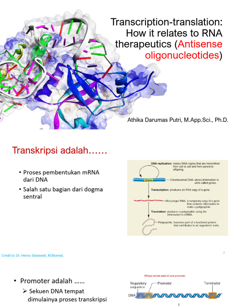 Pharmaceutical Biotechnology S1 Midterm Transcript To Vaccines | PDF | T Cell | Cytotoxic T Cell