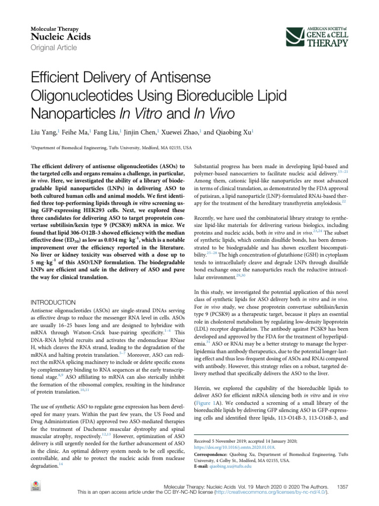 Yang - Efficient Delivery of ASO in Lipid NPs | PDF | Oligonucleotide ...