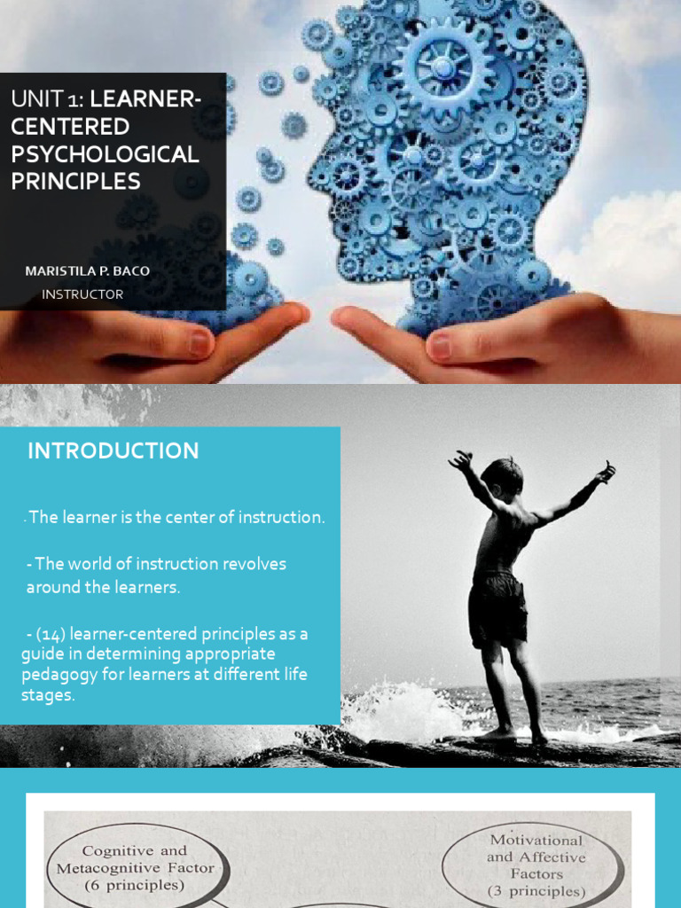 14 Learner Centered Principles | PDF