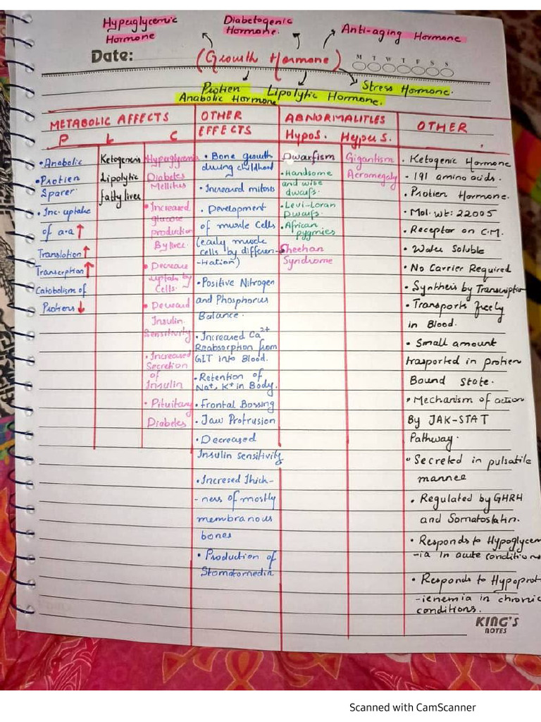 Endo Hormone Charts | PDF