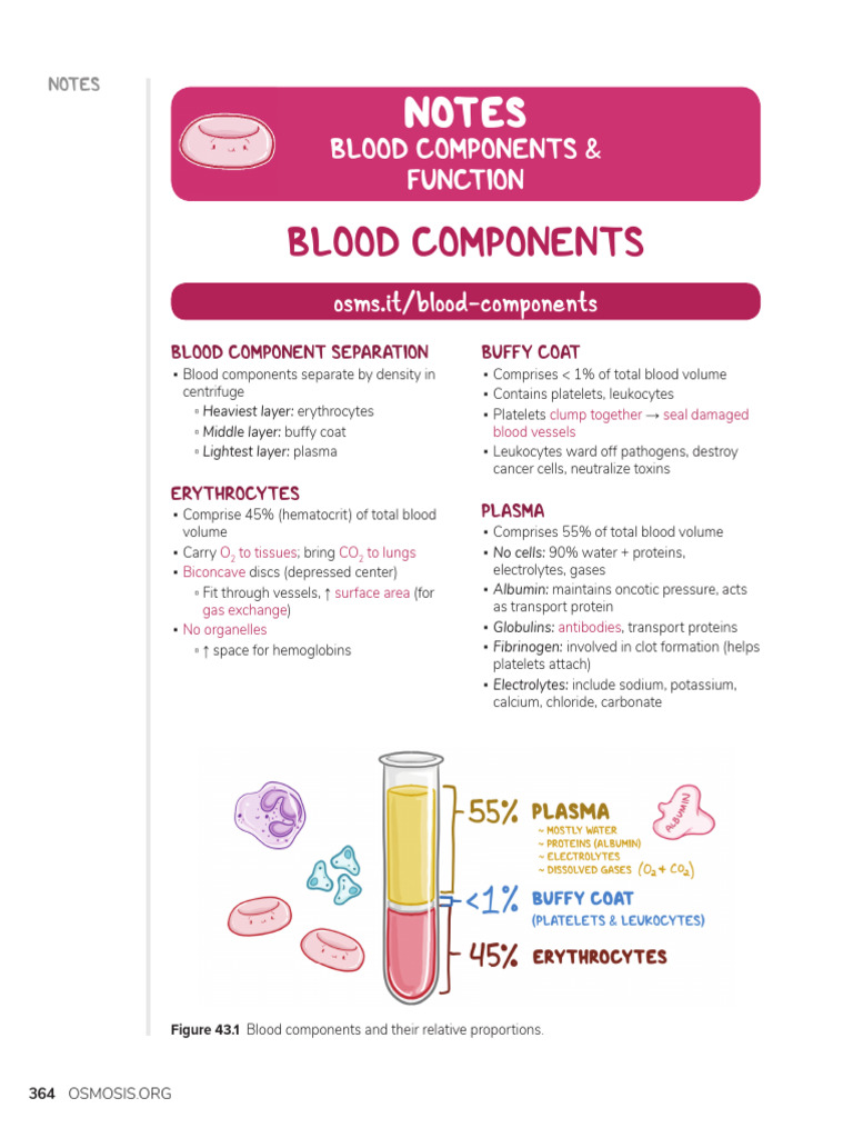 Blood Components and Function - Componentes Sanguíneos y Su FX | PDF ...