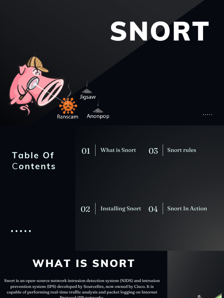 Snort | PDF | Computing | System Software