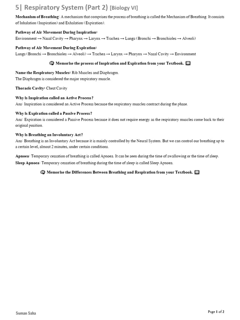 Respiratory System Part 2 | PDF | Respiratory Tract | Exhalation