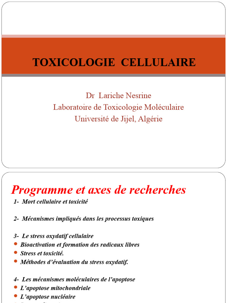 Mécanismes de la Mort Cellulaire et Apoptose | PDF | Apoptose | Cellule ...
