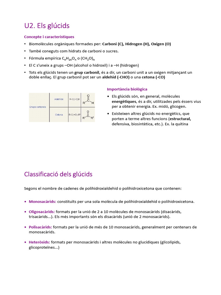 Unitat 2. Glúcids I Lípids 2023-2024 | PDF