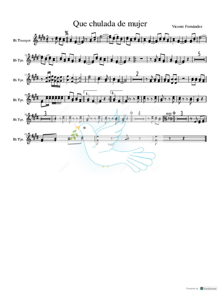 Qué Chulada de Mujer | PDF
