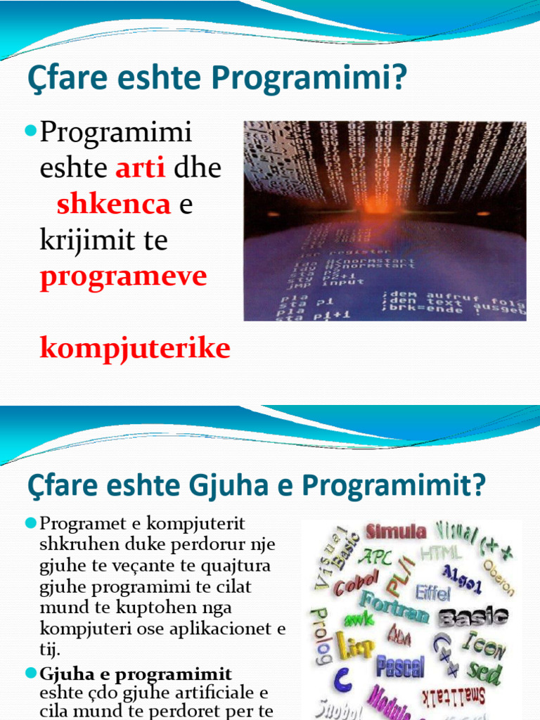 Gjuhet e Programimit | PDF