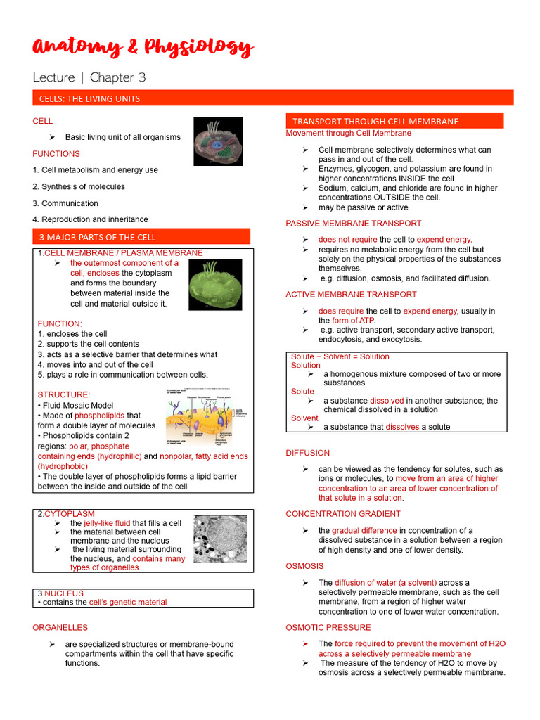 ANAPHY-LEC-3 | PDF | Cell Membrane | Cell (Biology)