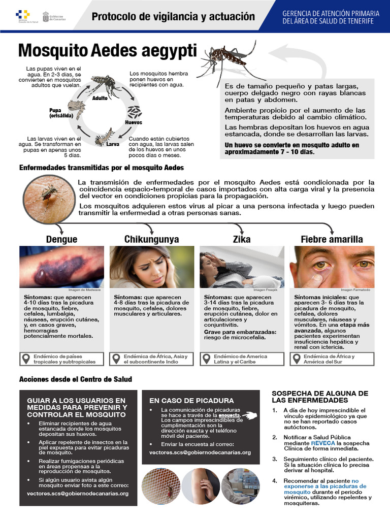 Mosquito Aedes | PDF | Mosquito | Enfermedades y trastornos