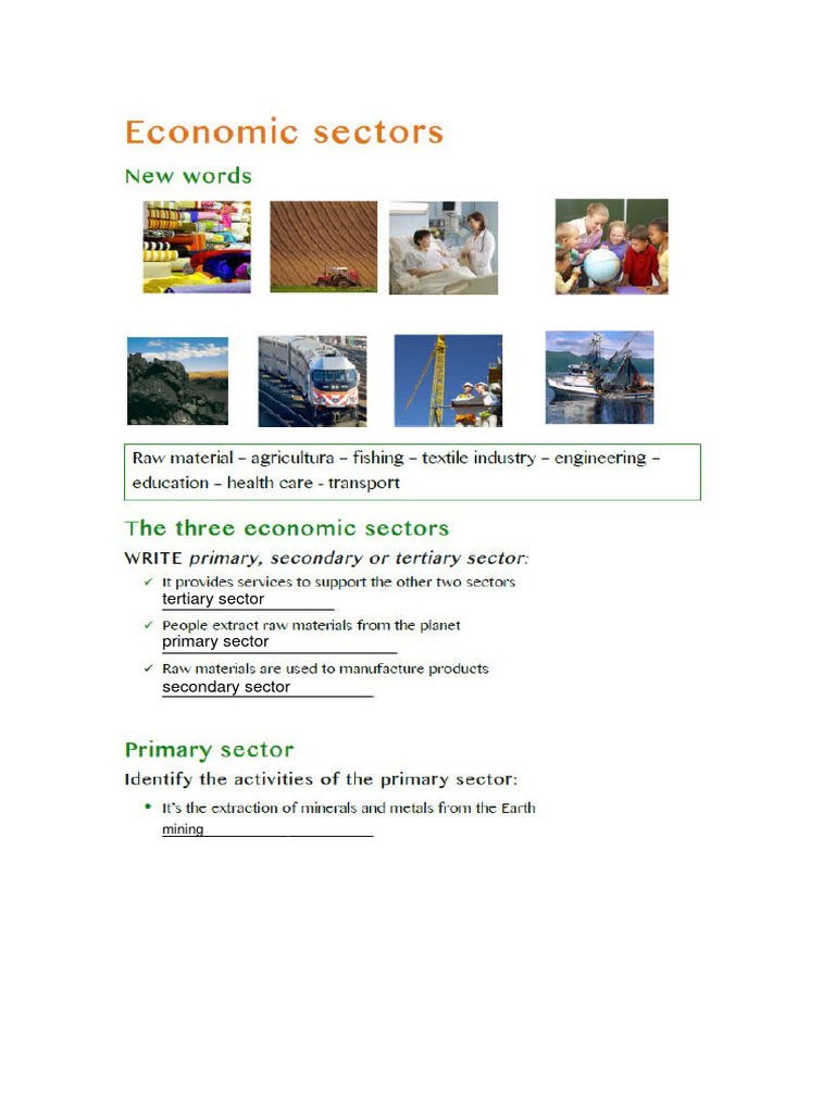 Breanna Justin - Economic Sectors Worksheet | PDF | Textiles | Mining