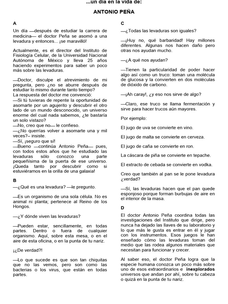 Ejercicio Examen Olimpiada 6 24 | PDF | Levadura | Panes