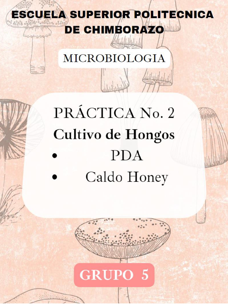 IL2 #5grupo | PDF | Hongo | Esterilización (Microbiología)