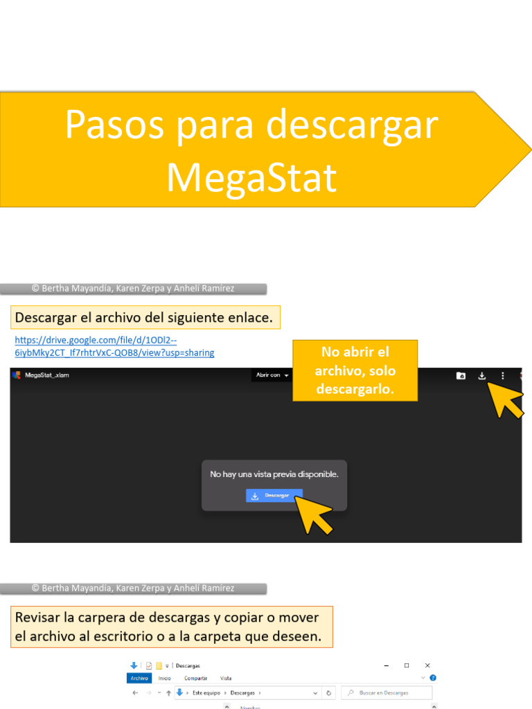 Guía para Descargar y Activar MegaStat | PDF | Software | Informática