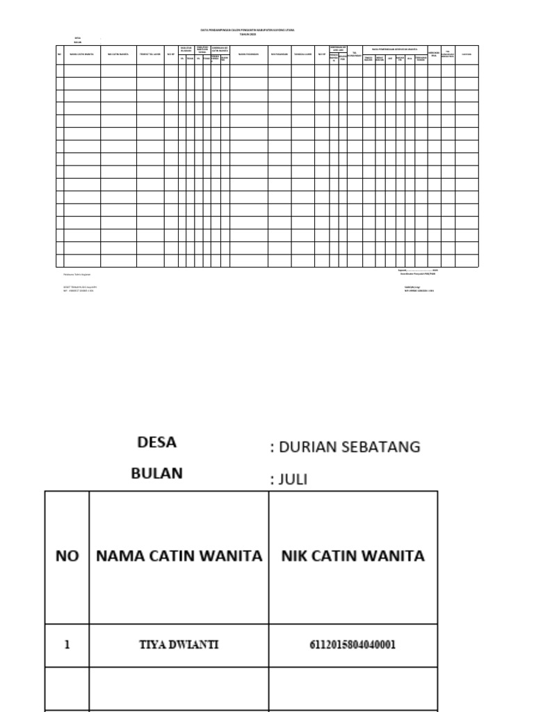 Laporan Kunjungan Catin 2023 | PDF