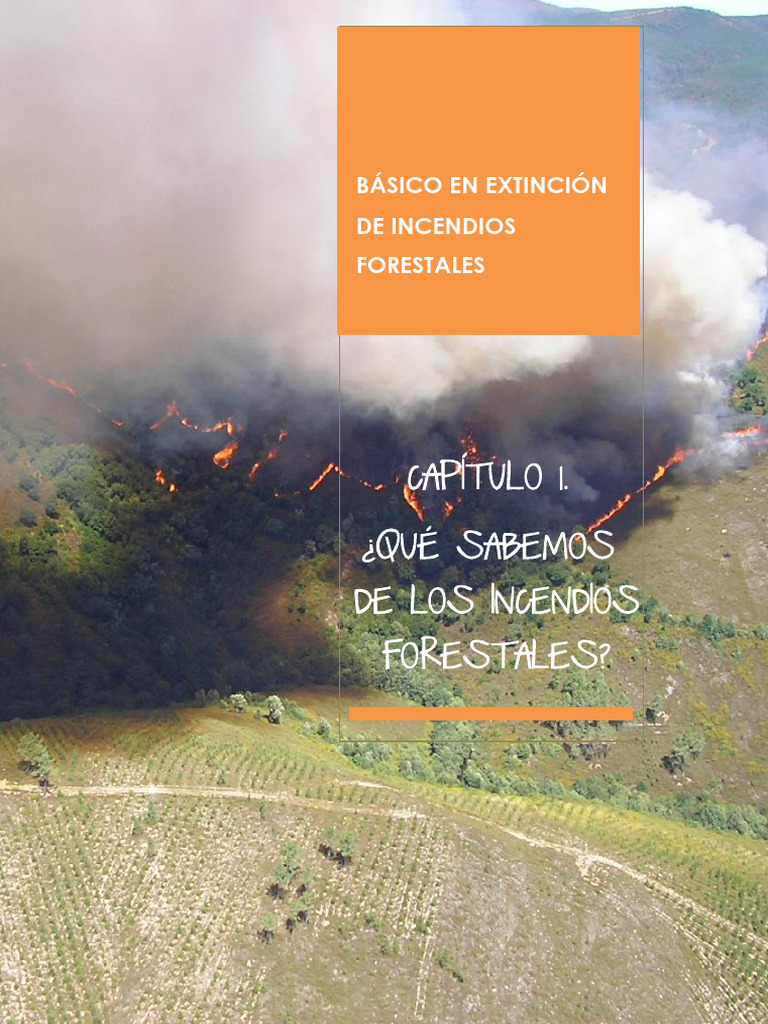 Capítulo - 1. Introducción A Los Incendios | Descargar gratis PDF | Fuego fatuo | Incendios