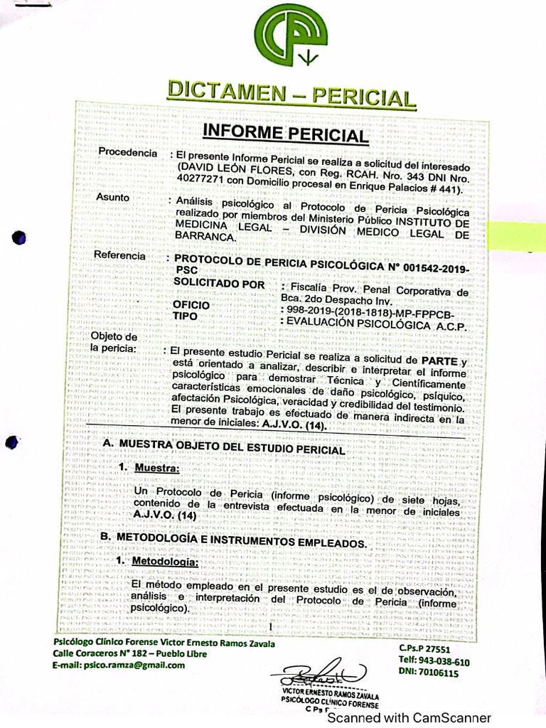 Testigo 5. Víctor Ramos Zaval | PDF