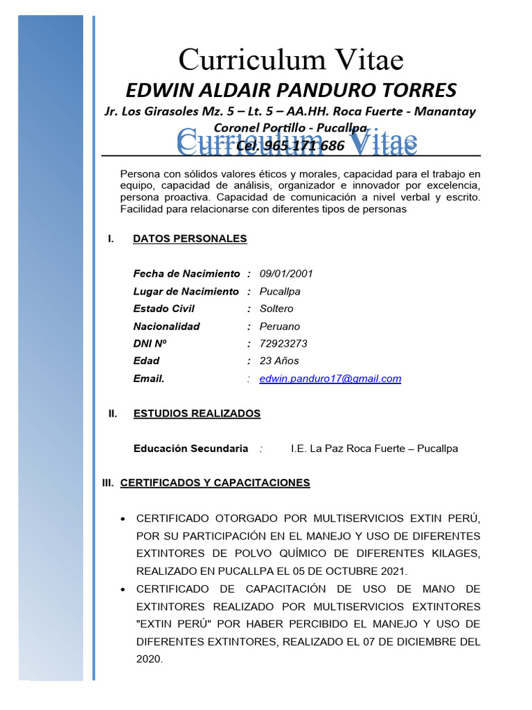 Cv Edwin Aldair Panduro Torres 2024 | PDF | Cuidado de la salud