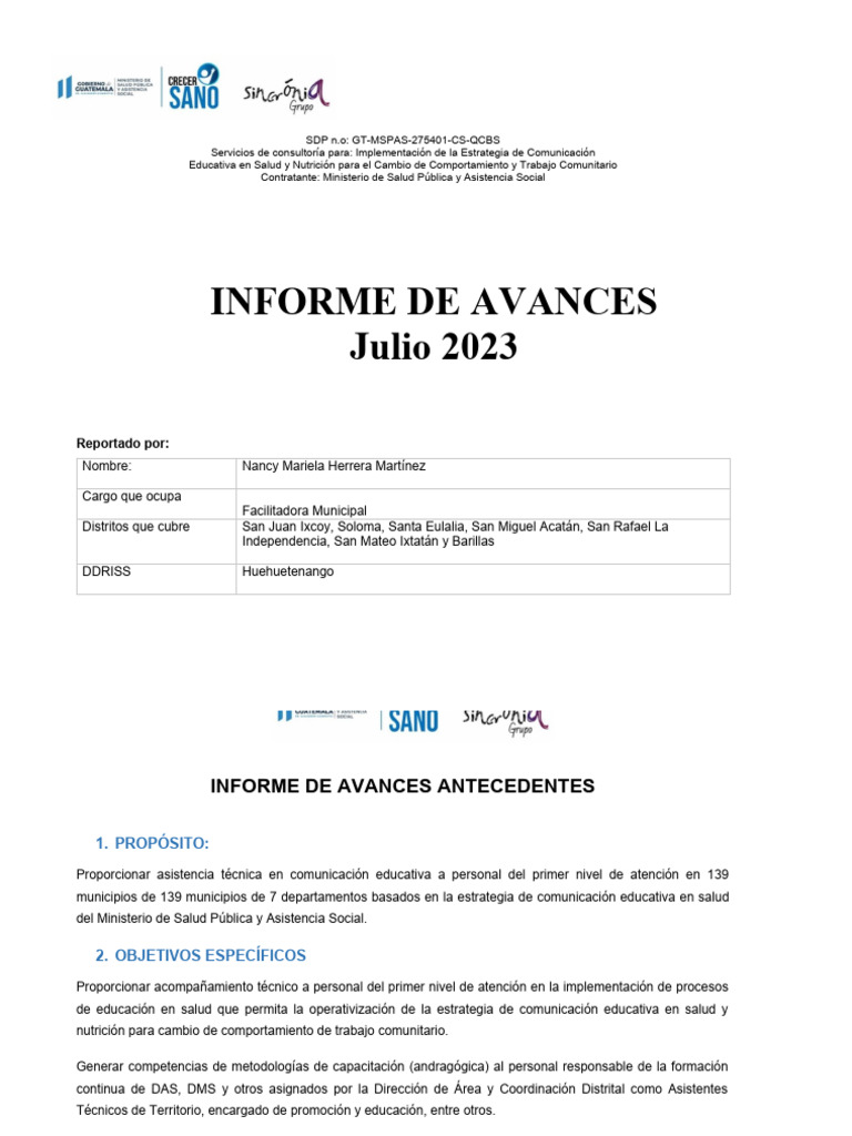 01 Formato de Informe | PDF