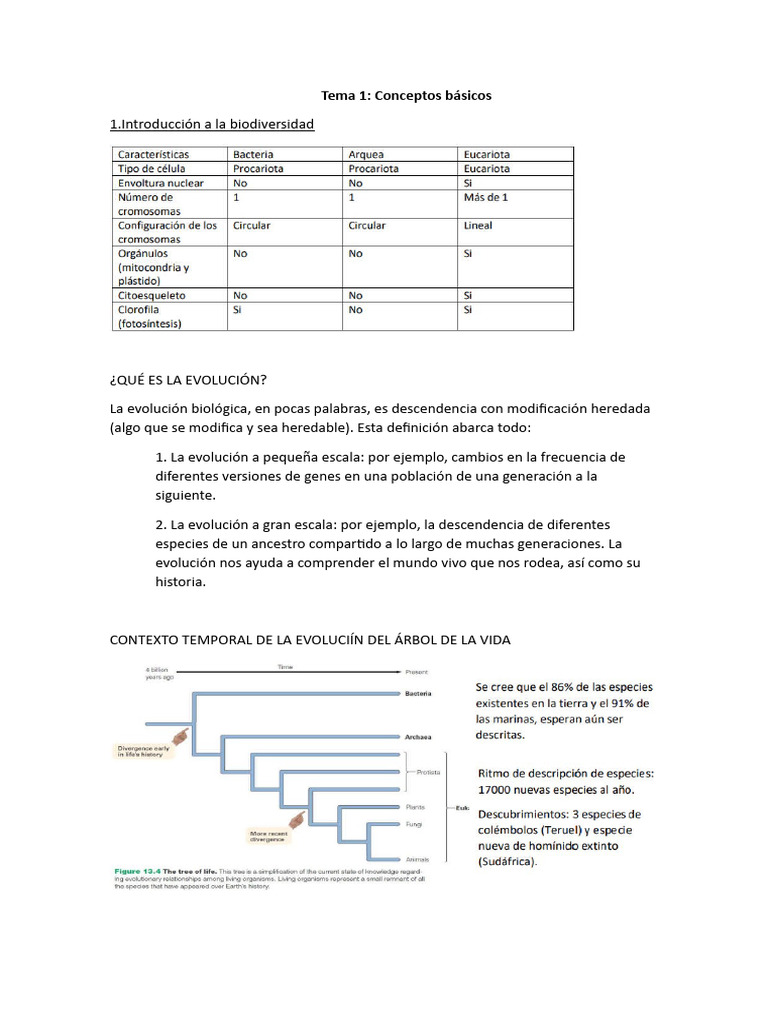 Tema 1 Conceptos Básicos | PDF | Evolución | Seleccion natural