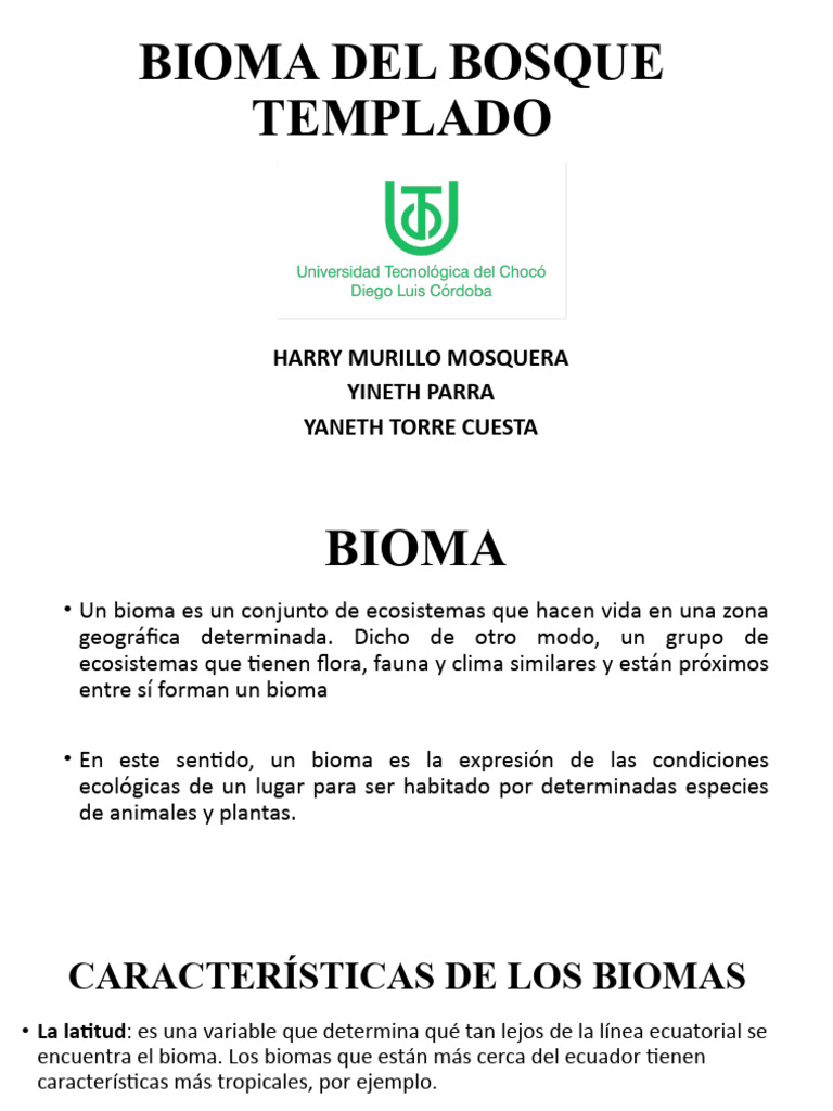 Bosque Templado: Flora y Fauna | PDF