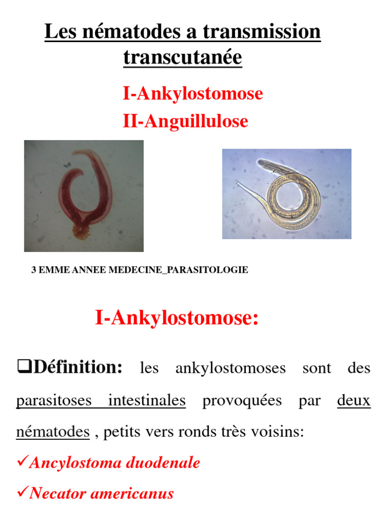 Traitement de l'ankylostomose et anguillulose | PDF | Spécialités ...