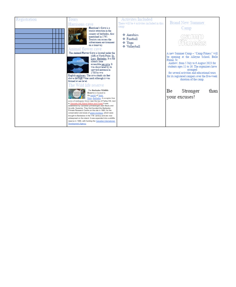 Updated Sba Word Borchure | PDF