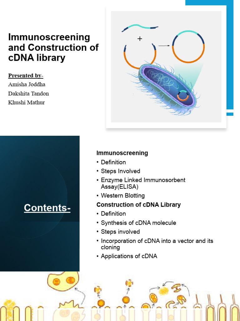 Immunoscreening and Construction of CDNA Library | PDF | Complementary ...