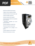 Tópicos Capacitación Compusafe | PDF | Informática