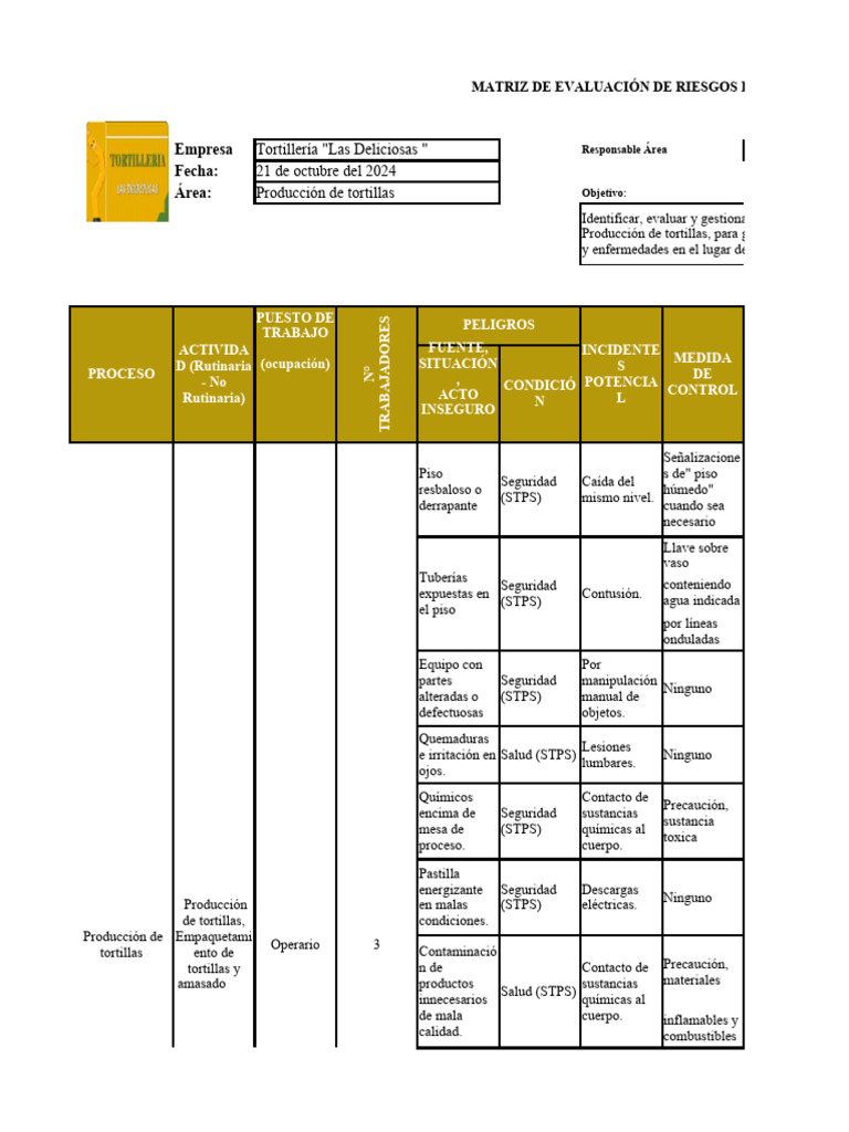 Matriz de evaluacion de riesgos | PDF | Quemar