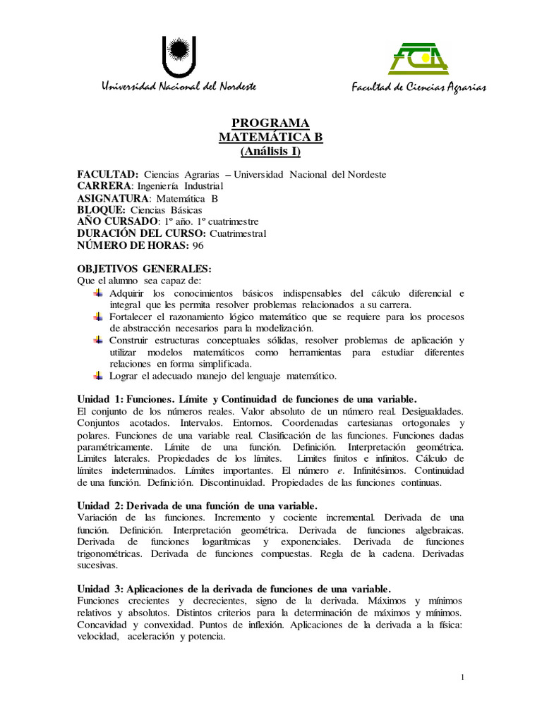 Programa MatemÃ¡tica B | PDF | Integral | Derivado