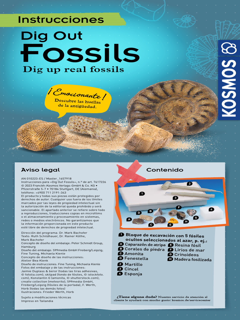 Fosiles | PDF | Fósil | Naturaleza